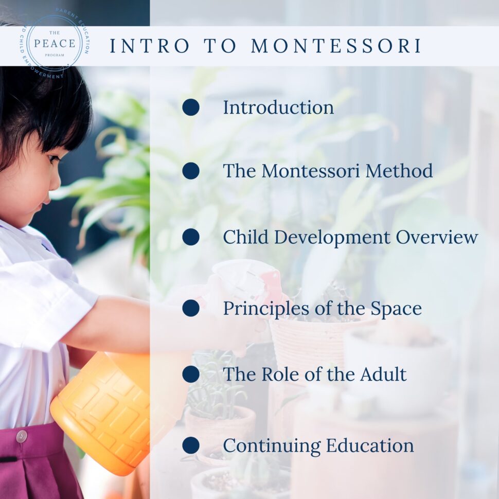 Childhood Potential Virtual Montessori Conference - Winter 2024